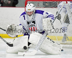 Cameron Carroll - Elite Prospects