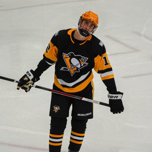 A.J. Schaaf - Stats, Contract, Salary & More