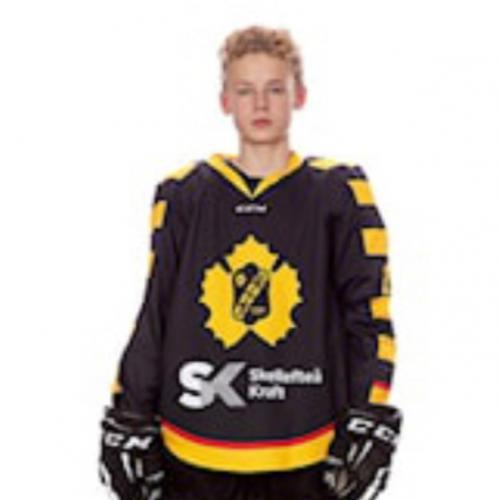 Vilmer Ekblad - Stats, Contract, Salary & More