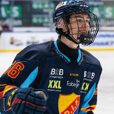 Arvid Drott - Elite Prospects