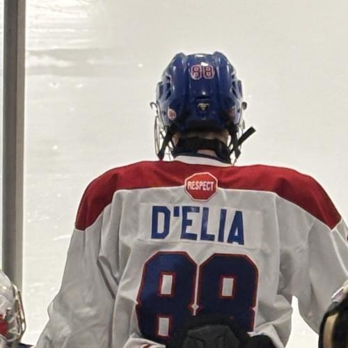 Tristan D'Elia - Stats, Contract, Salary & More