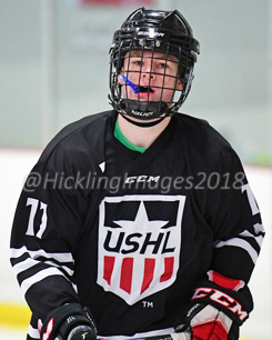 Logan Cleary - Elite Prospects