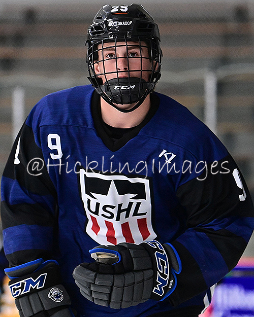 Will Cohen - Elite Prospects