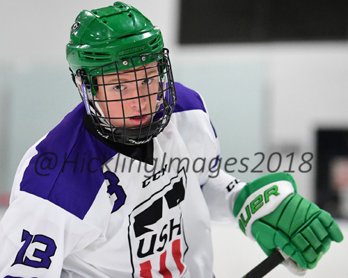 Hayden Cox - Elite Prospects