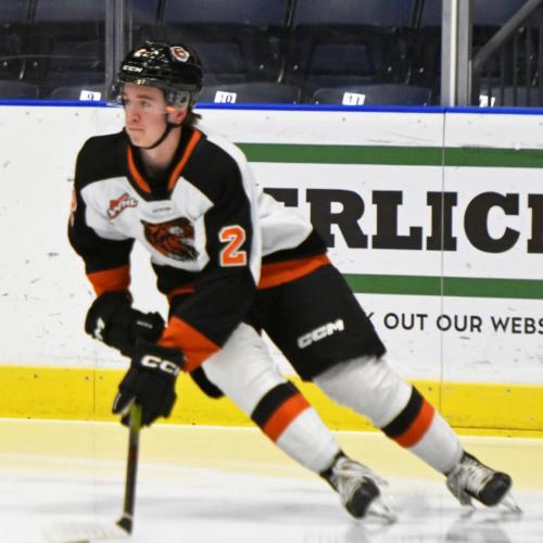 Tyson Moss - Stats, Contract, Salary & More