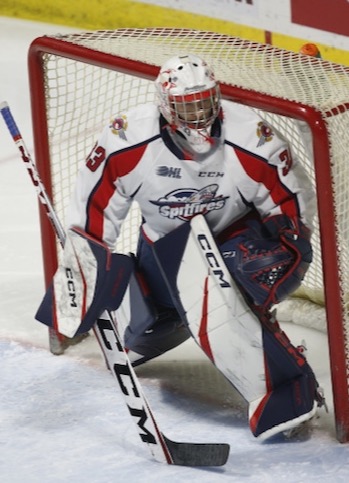 Joseph Costanzo - Stats & Facts - Elite Prospects