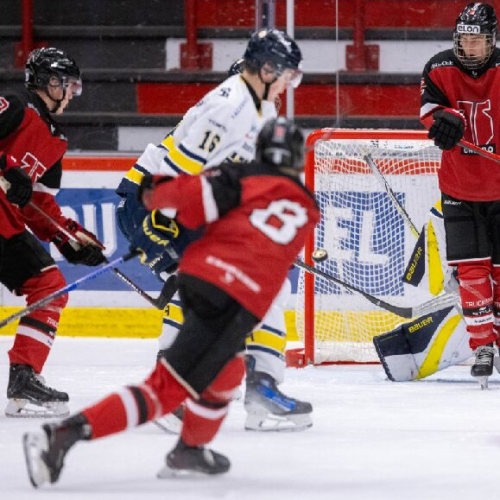 Axel Elofsson - Stats, Contract, Salary & More