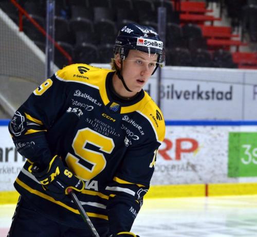 David Lindholm - Stats & Facts - Elite Prospects