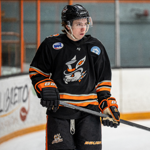 Roman Winicki - Elite Prospects