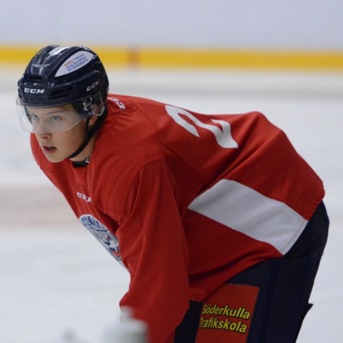 Attila Backman - Elite Prospects