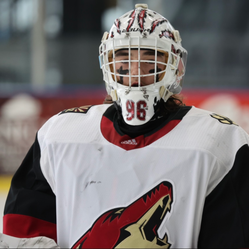 Jase Suzuki - Stats, Contract, Salary & More