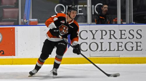 Andrew Basha - Elite Prospects