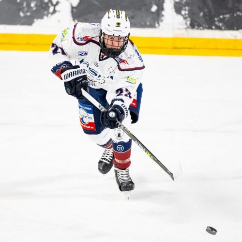 Justin Polok - Stats & Facts - Elite Prospects