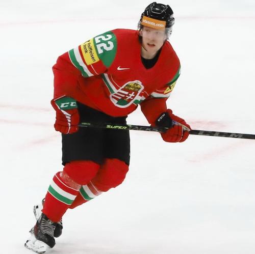 Vilmos Galló - Stats & Facts - Elite Prospects