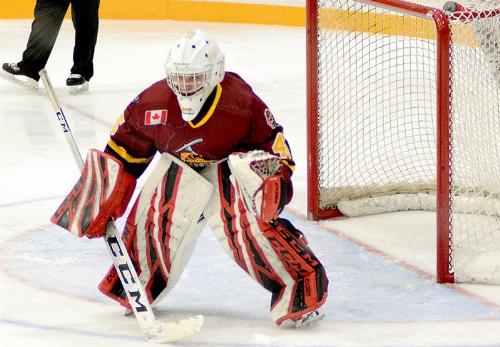 Gavin McCarthy - Stats & Facts - Elite Prospects