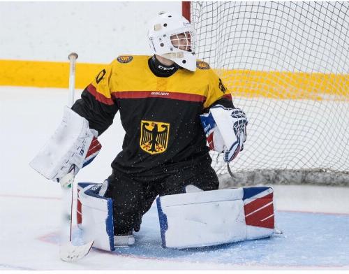 Linus Vieillard - Elite Prospects