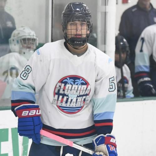 David Rainone - Stats, Contract, Salary & More