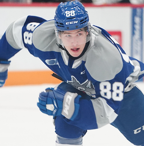 David Goyette - Elite Prospects