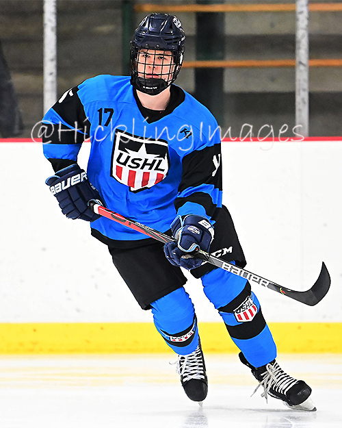 Zane Davis - Elite Prospects