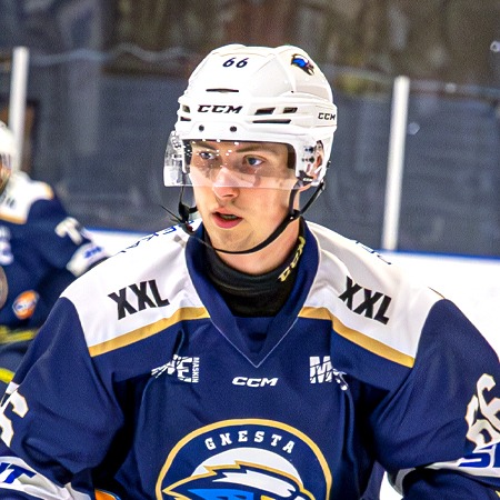 Albin Johansson - Stats, Contract, Salary & More