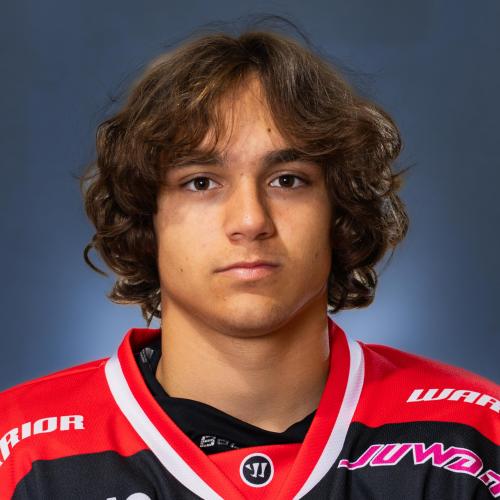 Jernej Cerjak - Stats, Contract, Salary & More