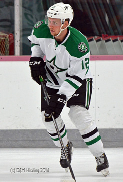 Radek Faksa - Alchetron, The Free Social Encyclopedia