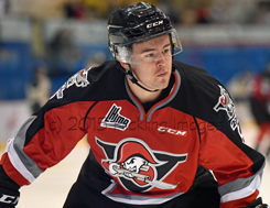 Michael Carcone - Elite Prospects