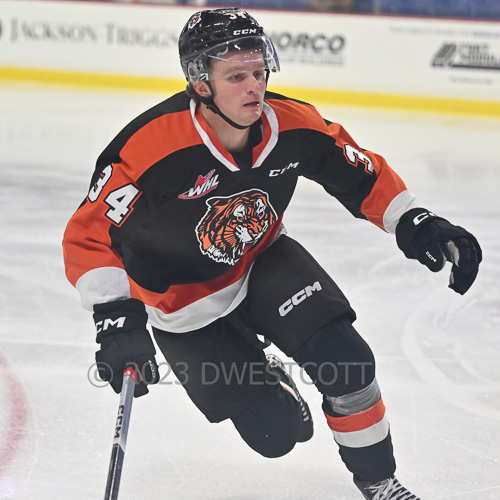 Andrew Basha - Stats, Contract, Salary & More