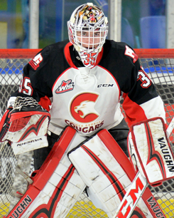 Taylor Gauthier - Elite Prospects
