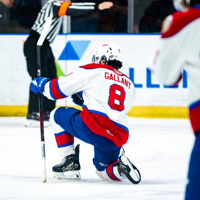 Matthew Gallant - Stats, Contract, Salary & More