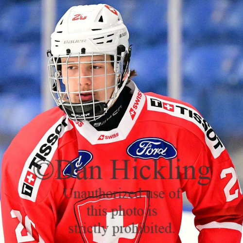 David Bosson - Stats, Contract, Salary & More