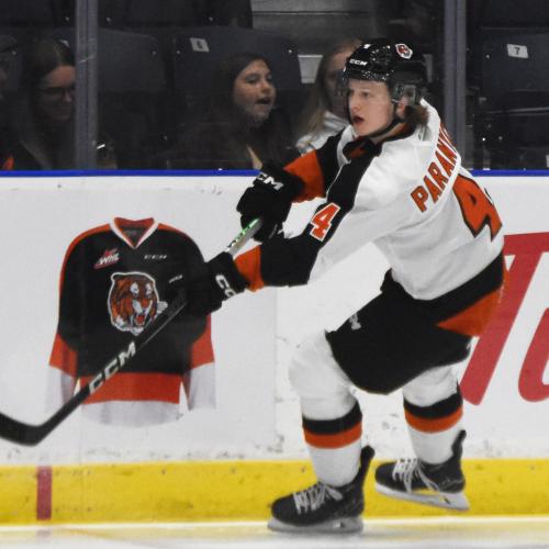 Matthew Paranych - Stats, Contract, Salary & More