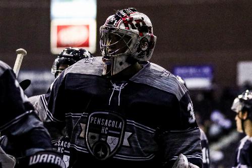 Chase Perry - Elite Prospects