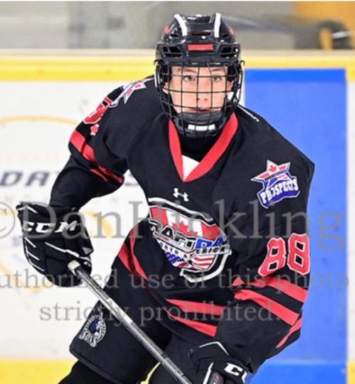 Dylan Rousselle - Elite Prospects