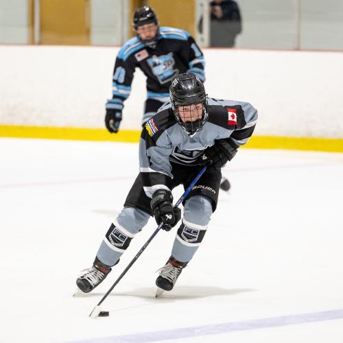 Daniel Valchev - Stats, Contract, Salary & More