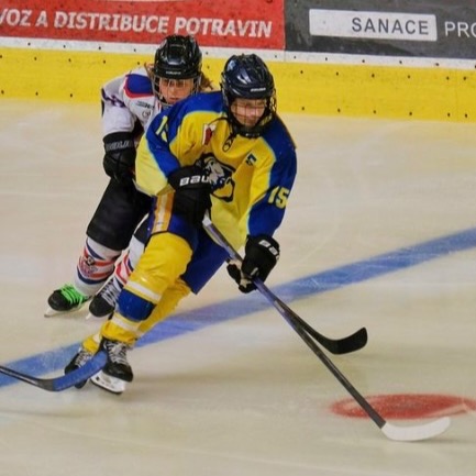 Jiri Petrik - Stats, Contract, Salary & More