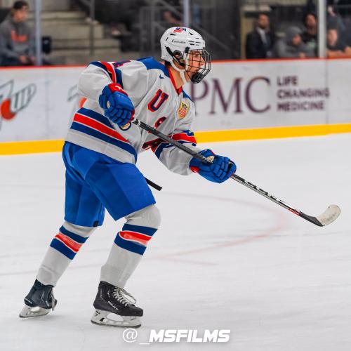 Gabe Perreault - Stats & Facts - Elite Prospects