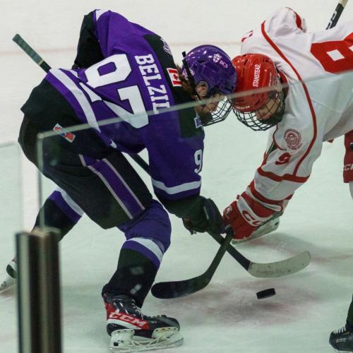 Thomas Belzil - Stats & Facts - Elite Prospects