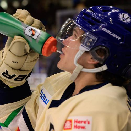 Austin Cameron - Stats, Contract, Salary & More