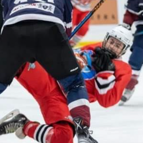 Connor Wardlaw - Stats & Facts - Elite Prospects