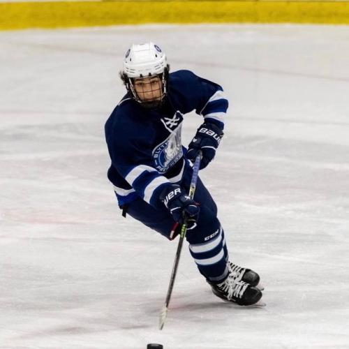 Jace Lima - Stats & Facts - Elite Prospects