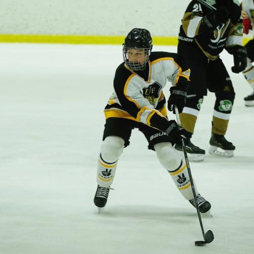 Axel Elofsson - Stats & Facts - Elite Prospects