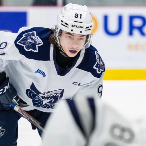 Nathan Lévesque - Stats, Contract, Salary & More