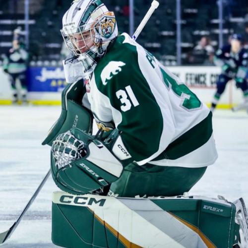 Tyler Palmer - Stats & Facts - Elite Prospects