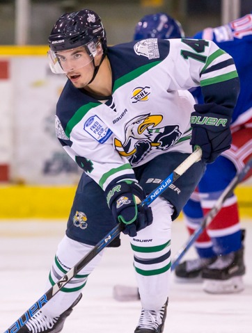 Owen Norton - Elite Prospects