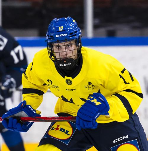 Elton Hermansson - Stats, Contract, Salary & More