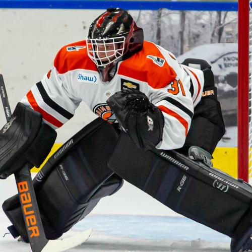Tyler Hodges - Stats, Contract, Salary & More