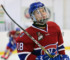 Robert Clerc - Elite Prospects