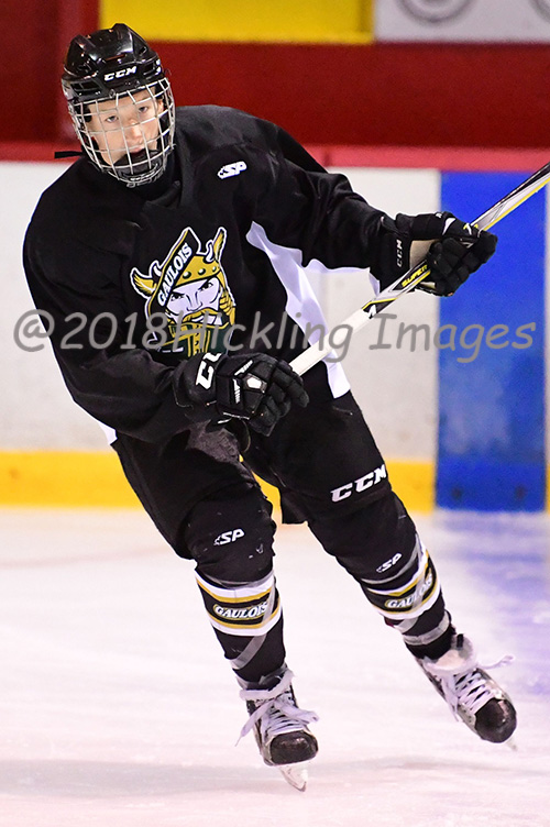 Émile Villiard - Elite Prospects