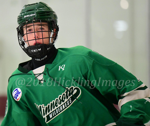 Brandon McNamara - Elite Prospects
